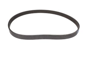 Peugeot 308 2013-2020 Auxiliary Belt Peugeot Parts Direct