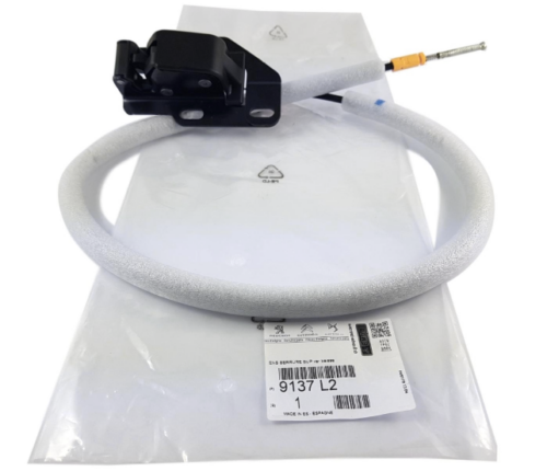 Peugeot Expert 2009-2016 Rear Door Lock 9137L2