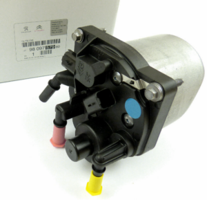 Peugeot 508 2010-2018 Fuel Filter Assembly - 9809757980