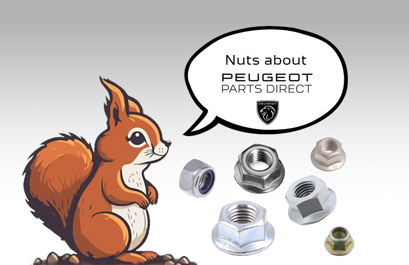 Peugeot Partner Rear Shock Absorber Nut Peugeot Parts Direct